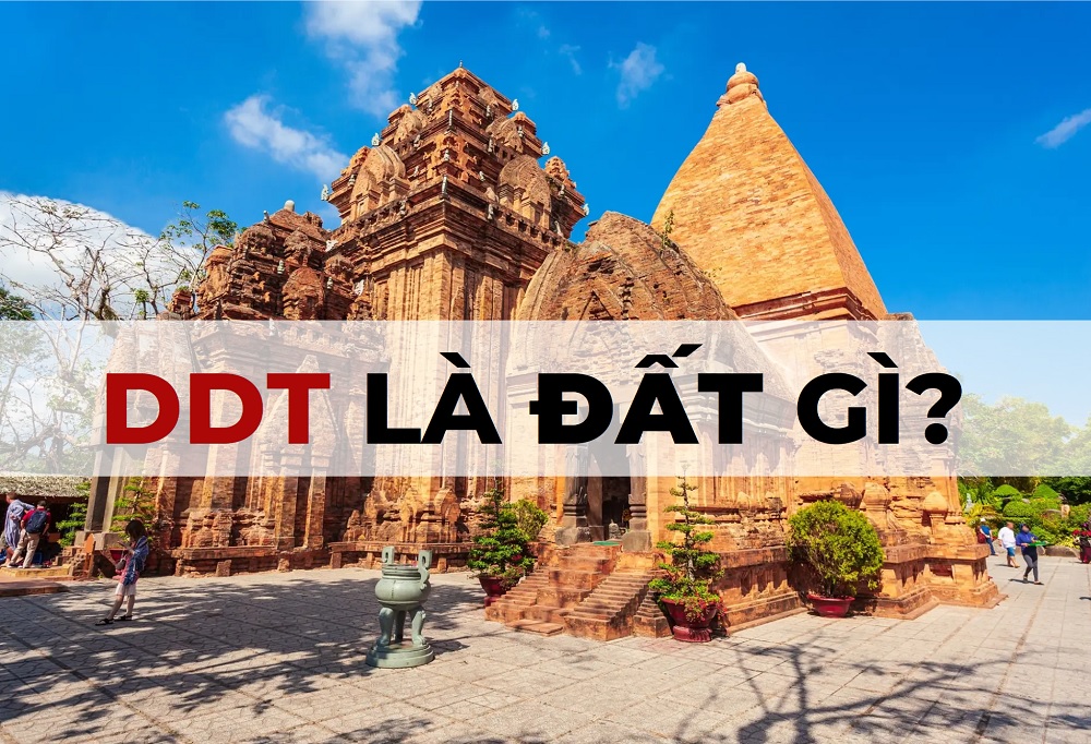 DDT là đất gì? Quy định sử dụng đất DDT